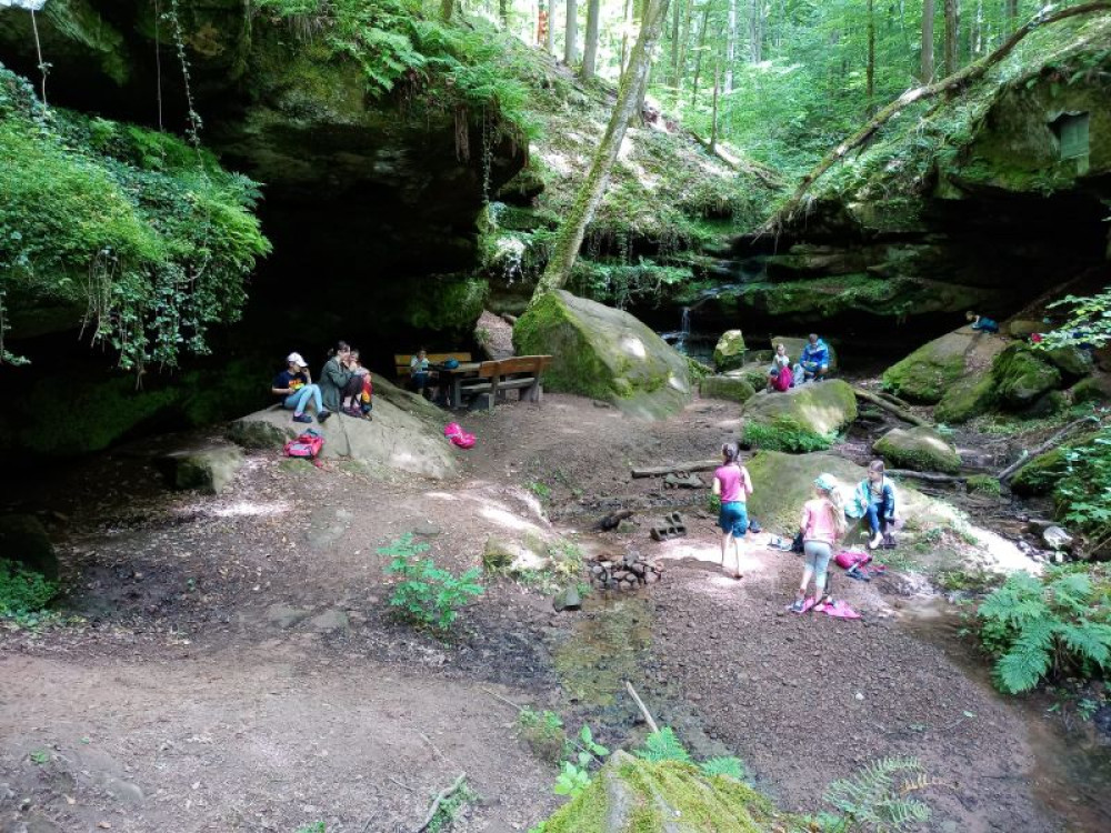 News | DLRG Ortsgruppe Pirmasens e.V.